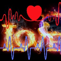 Love Pulse Guide